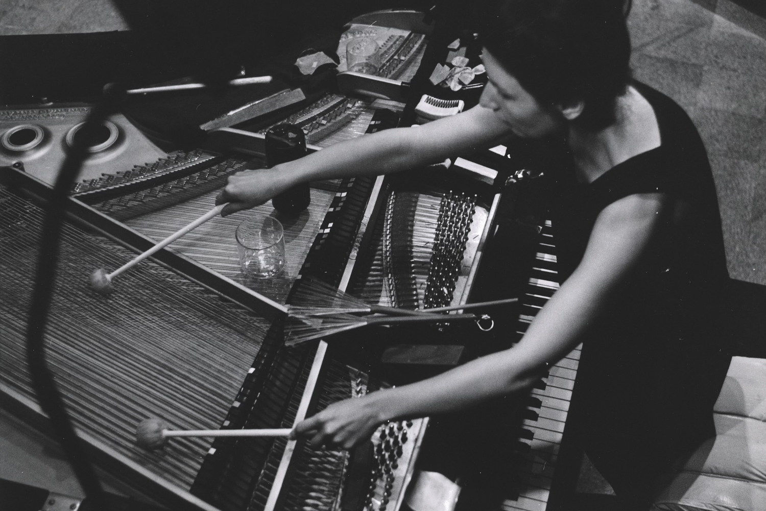 Sound Inside: Exploring Dlugoszewski’s Timbre Piano - BOWERBIRD ...